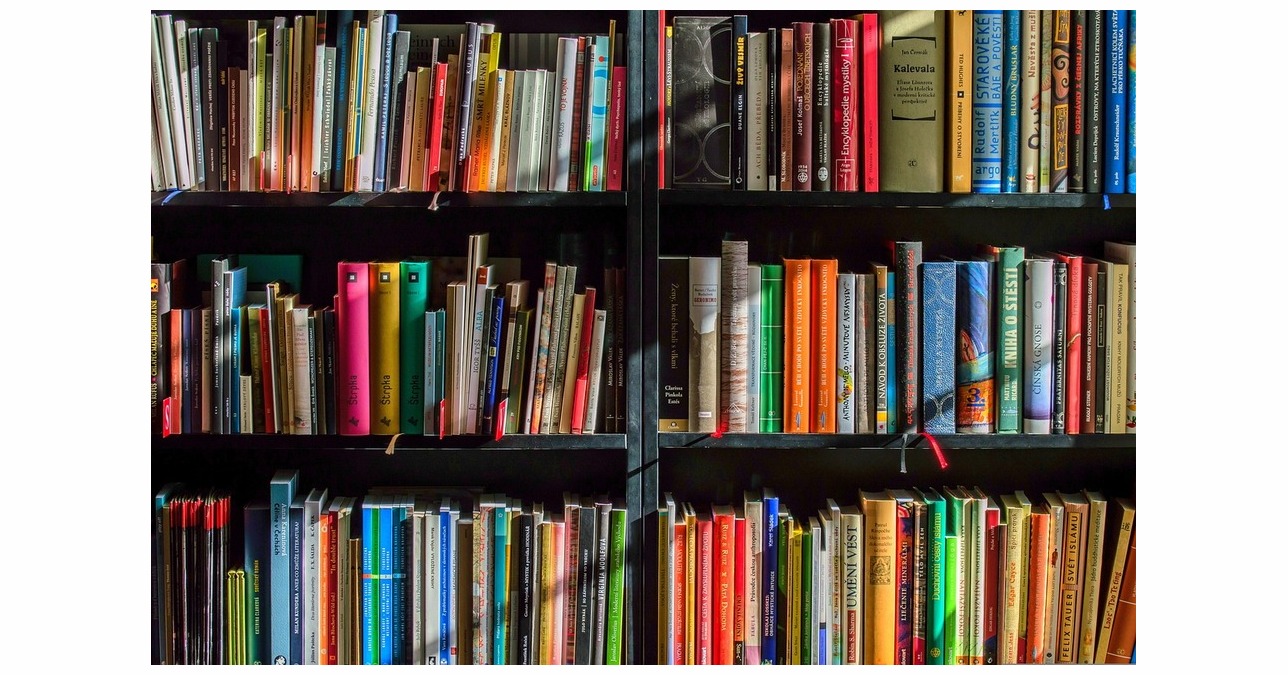 New Economics Books 2025 | INOMICS